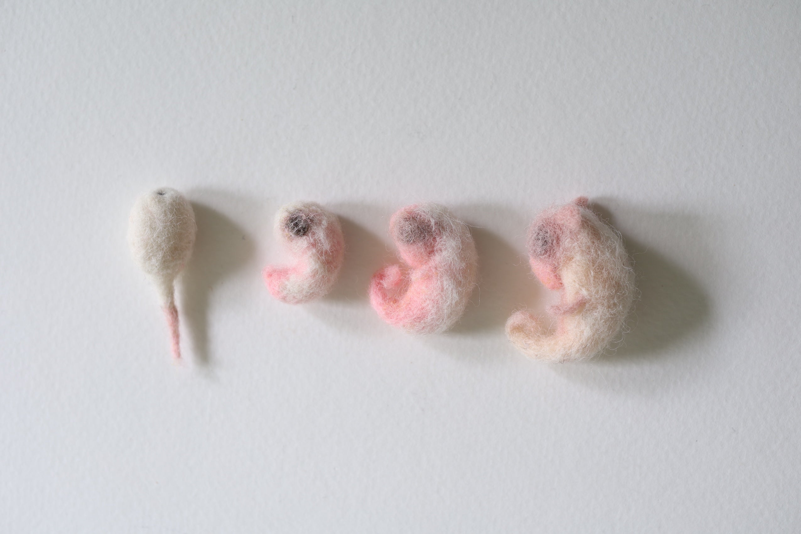 How to Bake a Breadling - stages of lambery with cocoon – www.hollow ...