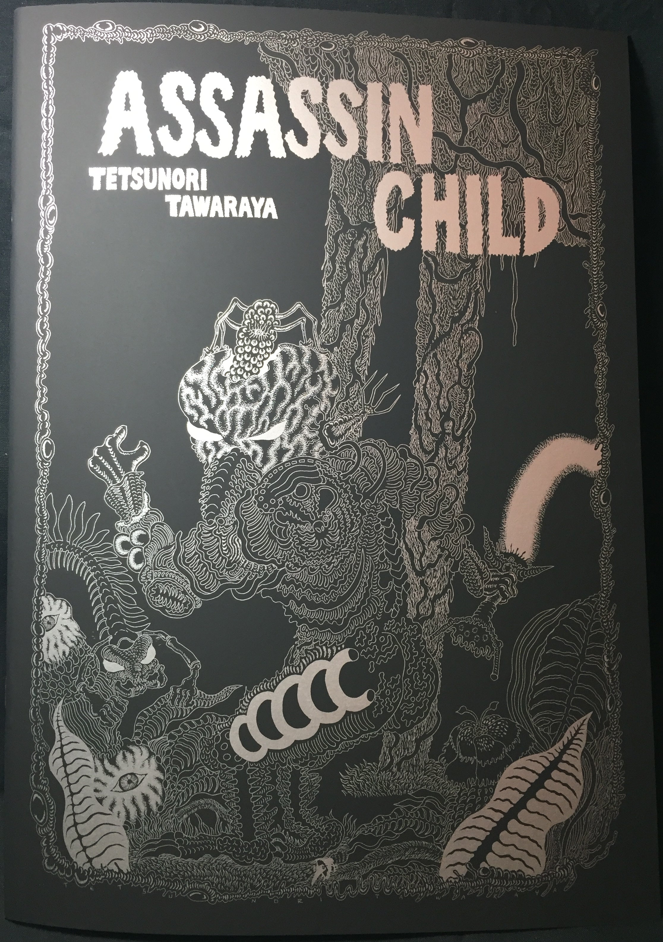 Assassin Child (3°ed.) – www.hollow-press.net