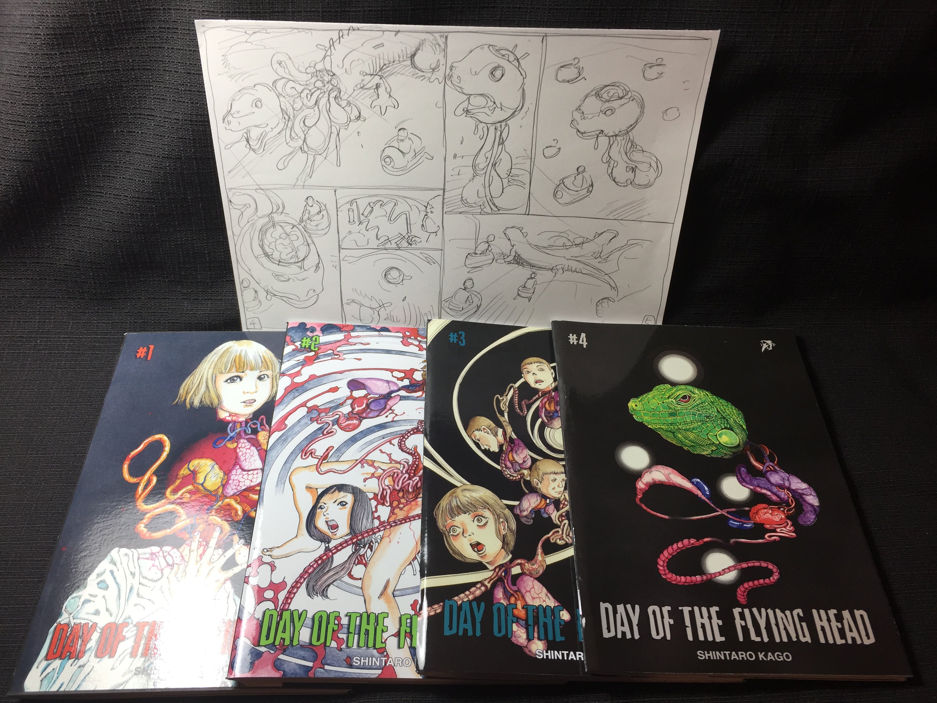 Day of the Flying Head COMPLETE series + original study – www.hollow ...